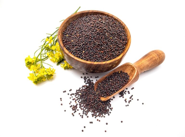 Foodscovery il Blog di Gastronomia